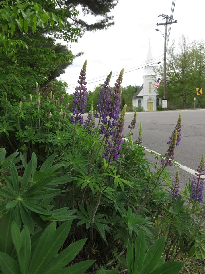 Sugar Hill New Hampshire | Incorporated in 1962